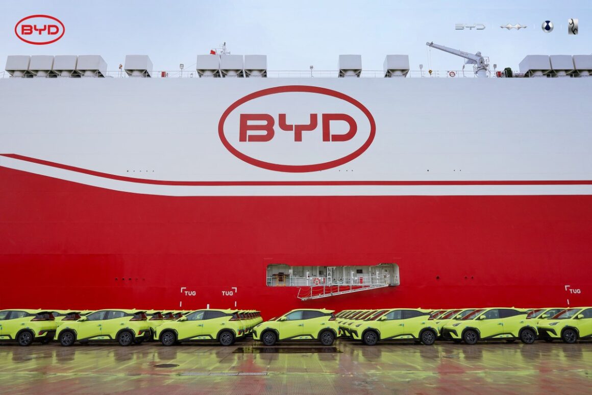 BYD's smallest electric car gets 5 stars for safety